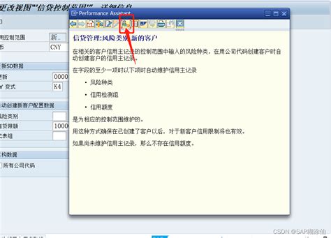 sap770系统fi模块配置（定义信贷控制范围） sap信贷控制范围 csdn博客
