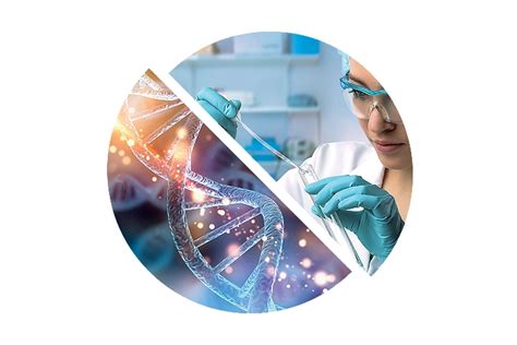 Catalysing Nhs Value Chain Shared Services Deloitte Uk