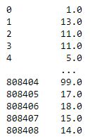 Not Able To Keep The True Format Encoding Of Restricted Numeric Type