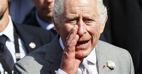 Charles Switzer The Royal Observer