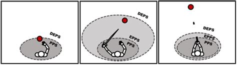 In Game Interaction With A Target Object Placed Within The Peripersonal Download Scientific