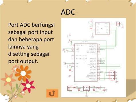 Eeg Electroencephalograph PPTX