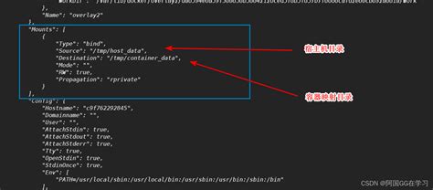 04 docker 容器数据卷 卷 ro csdn博客