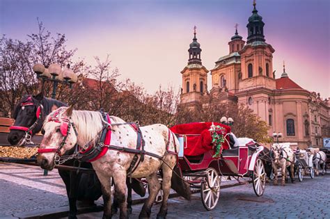 올드 타운 광장에서 관광객을위한 말과 마차 프라하 체코 0명에 대한 스톡 사진 및 기타 이미지 0명 가로등 건물 외관 Istock