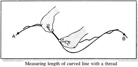 write an activity for measuring the length of a curved line sarthaks