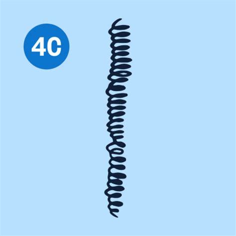 Curl Pattern Chart How To Find Your Curl Type