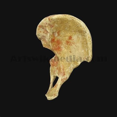 3d Pelvic Anatomy 3d Model Cgtrader