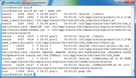 Oracle Trace File Analyzer Tips And Tricks Oracledbwr