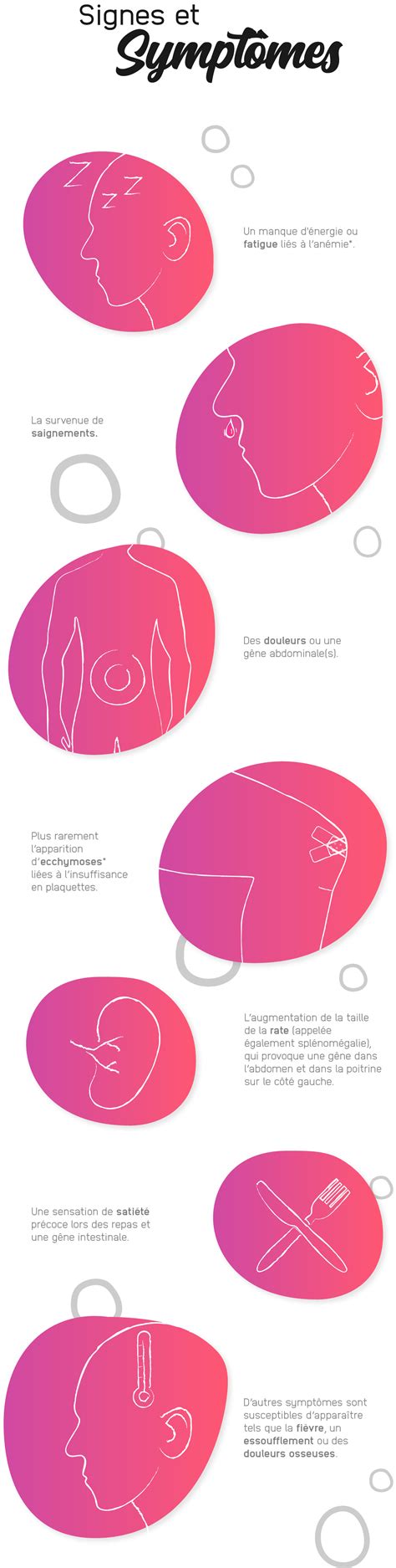 Comprendre La Lmc
