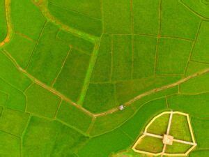 GIS Field Mapping For Agriculture One Of The Biggest Boons Of Technology SoilOptix