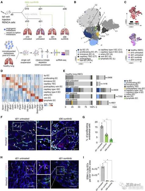 单细胞测序用途是什么？单细胞测序和基因测序有什么区别？ 知乎