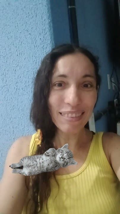 Minha Gatinha Amou A Sapateira Se Inscreva No Canal 🥰 Youtube