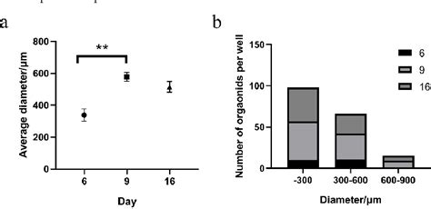 Figure 1 From A Taste Bud Organoid Based Microelectrode Array Biosensor For Taste Sensing