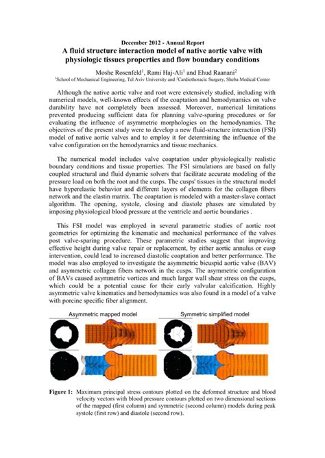 A Fluid Structure Interaction Model Of The Native Aortic Valve With