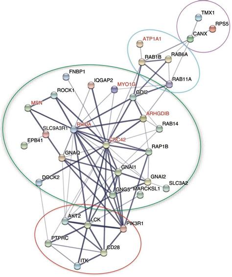 Membrane Protein Protein Interactions Creative Biostructure