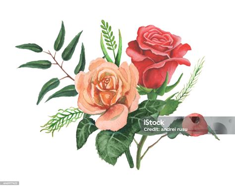손으로 그린 꽃과 나뭇잎 흰색 배경에 고립의 수채화 매력적인 조합 0명에 대한 스톡 벡터 아트 및 기타 이미지 0명 그림 그리기 꽃 식물 Istock