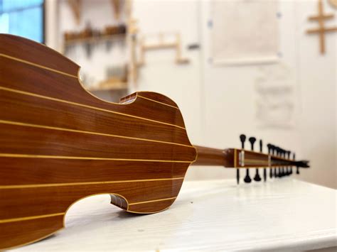 Viola Damore In C Tuning With 14 Sympathetic Strings — Jonathan