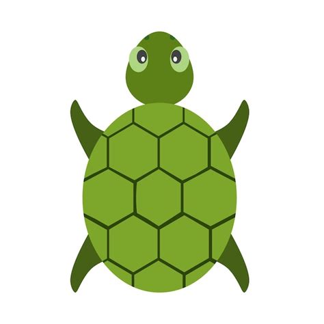 Premium Vector Tortoise Animal Vector Illustration Icon Image