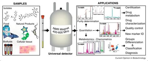 Quantitative Nmr Analysis Of Foods Creative Biostructure