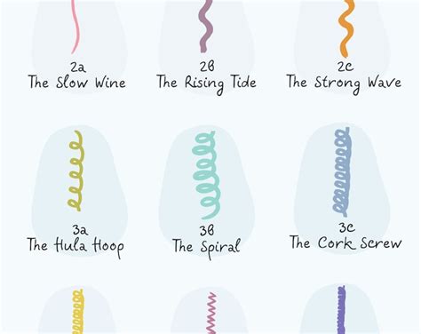 Curly Hair Type Chart Etsy