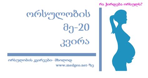 ორსულობა ორსულობის მე 20 კვირა