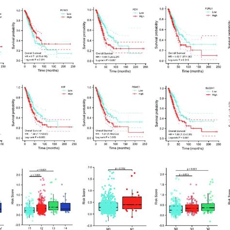 A Survival Analysis Of Genes Involved In The Prognostic Signature