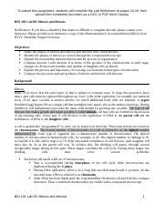 Lab 9 Docx To Submit This Assignment Babes Will Complete The Lab Worksheet On Pages 10 16