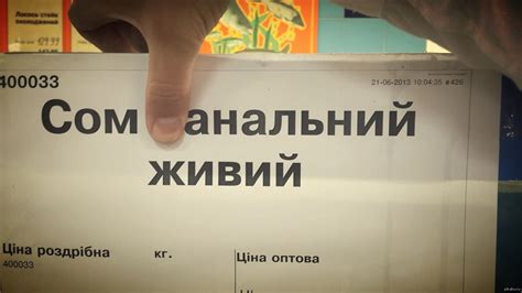 Не удержался Пикабу