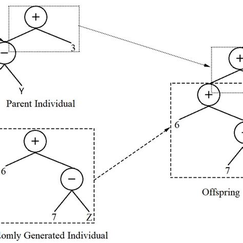 The Mutation Process Of In The Individual Tree X Y 3 Download Scientific Diagram