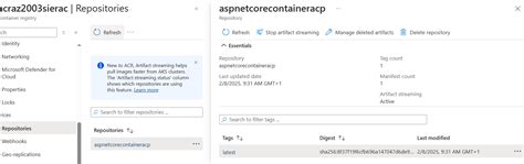 az containerapp create parameter registry identity what is it