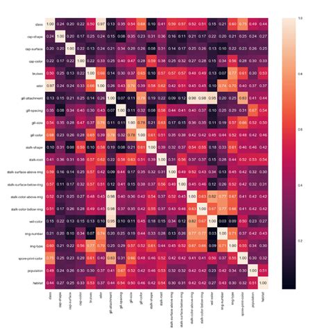 Python Create New Dataframe Using Function Stack Overflow