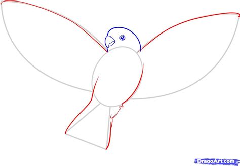 How To Draw A Bird Google Search Bird Drawings Birds Flying Fly Drawing