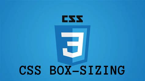 Css Box Sizing
