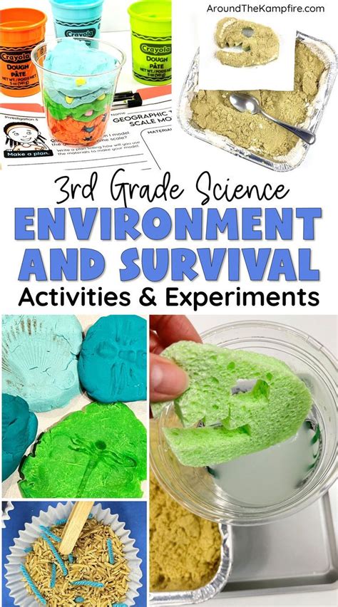 Environments And Survival Science Activities For 3rd Grade Artofit