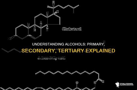 Understanding Alcohols Primary Secondary Tertiary Explained Cyalcohol