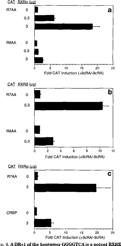 Figure 6 From Dna Binding Specificity And Function Of Retinoid X Receptor Alpha Semantic Scholar