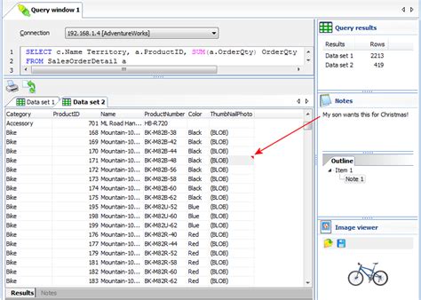 Sql Data Sets Online Help Adding And Viewing Notes