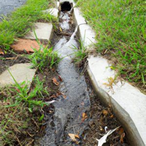 What Is A Runoff In Science Exploring Causes Effects And Solutions The Enlightened Mindset