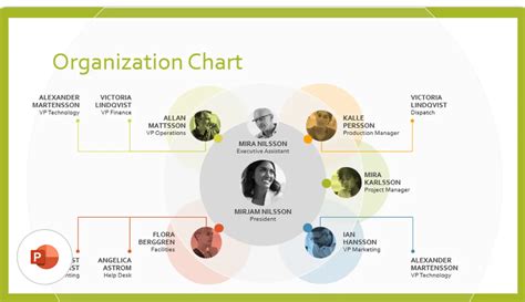 Free Org Chart Powerpoint Templates Clickup