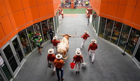 Texas Mascot Bevo Explained What Does Bevo Stand For College