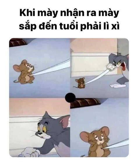 Tom Jerry Meme Si U Cute B Nh Ch H I H C Nh T