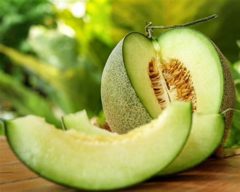 Honeydew Melon