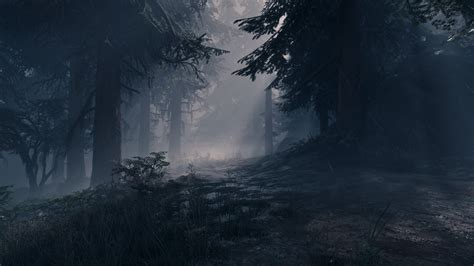 Cute Front Bangs On Tumblr