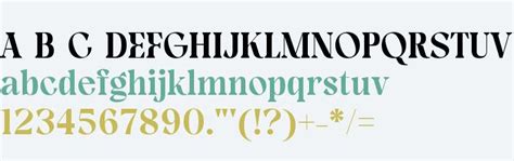 Casser Fonts Free Download Onlinewebfontscom