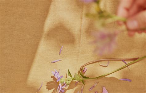 Edwin Oak Floor Lamp Light Oiled Rowen And Wren