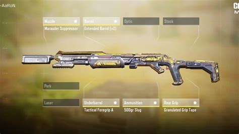 Codm By 15 Asm Pro Grade Youtube