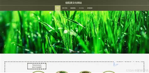java计算机毕业设计信阳茶文化网站（开题报告 源码 论文） csdn博客