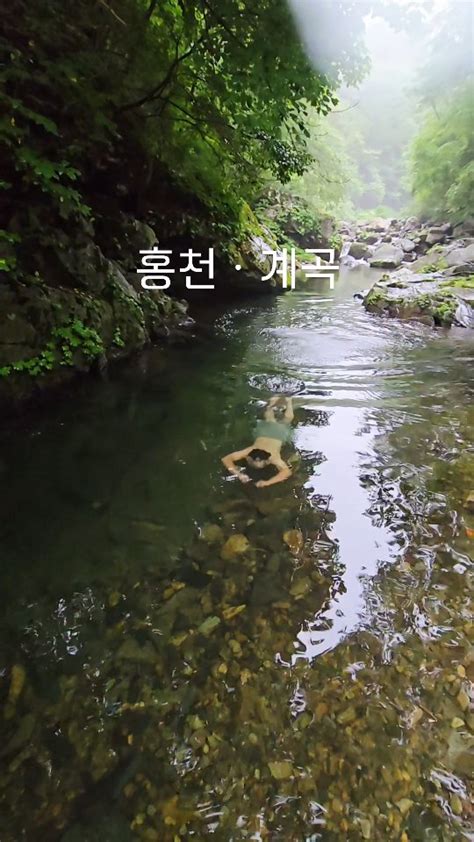 낭만 조삿갓 🏞계곡을 찾아라 ️강원도 홍천 멀긴 멀다 ️위성지도에 점 찍어놓은곳 무작정 가본다 ️생각보다 좋은곳 찾아 넘 뿌듯하다 ️수심도 2미터될 듯 하고 길게 뻗은