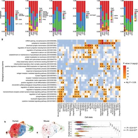 Snrna Seq Distinguishes Major Cell Types Using 67 Human Brains A
