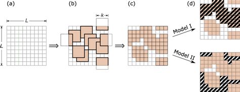 Construction Of The Models An Empty Regular Lattice Of Size L × L Download Scientific Diagram
